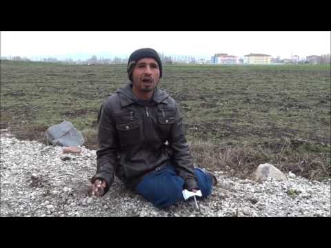 Niğdeli melendizli adem