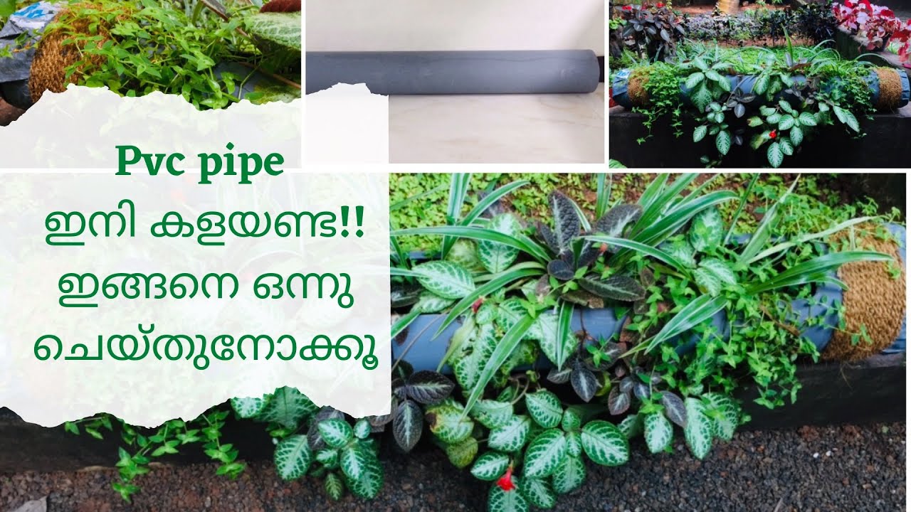 PVC pipe Gardening Technique | vertical garden idea 💡 | Nezplants - YouTube