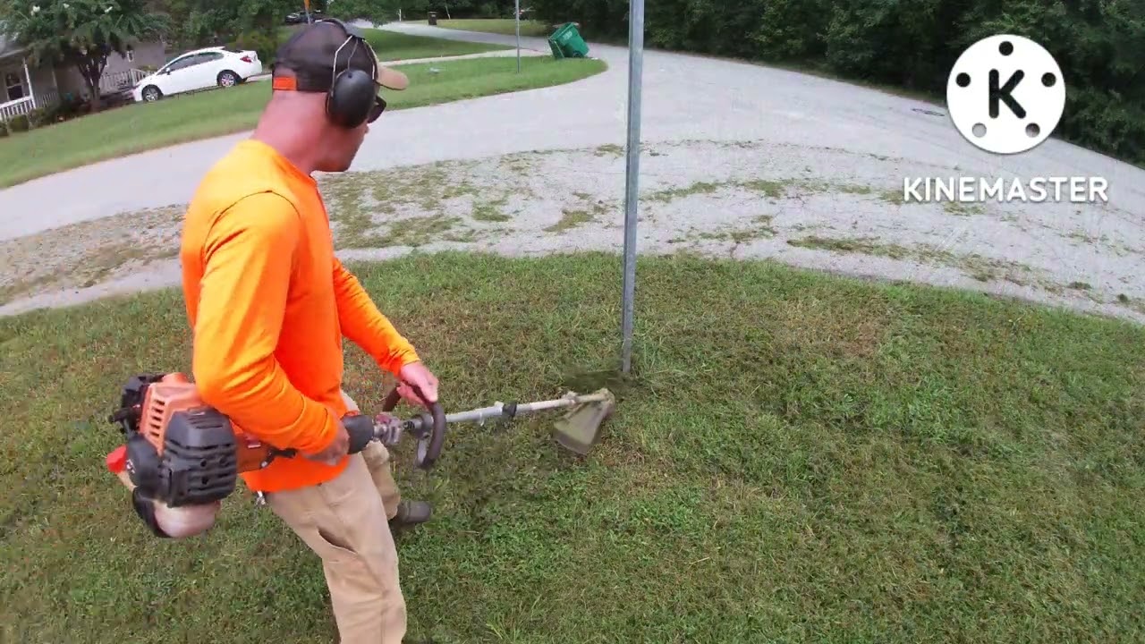 Triple Cut this Overgrown Yard - YouTube