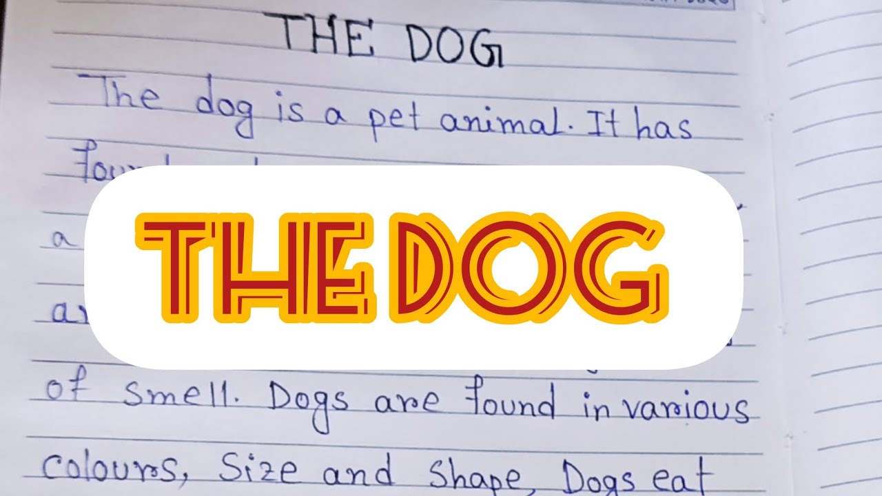 The Dog #handwriting #english #best @handwriting234 - YouTube