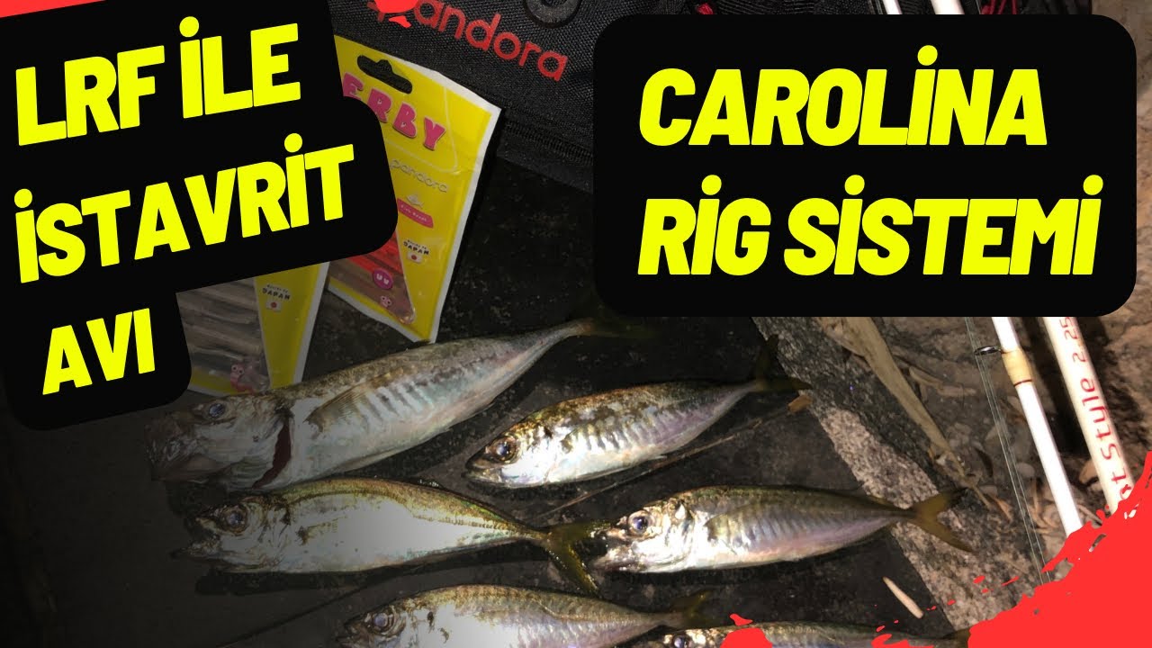 Lrf ile istavrit avı. Carolina rig sistemi - YouTube