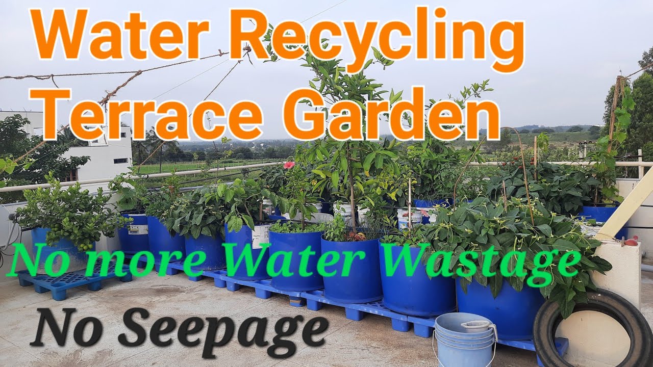 Eco Home🏡| Terrace gardening | Water Recycling Terrace Garden in ...