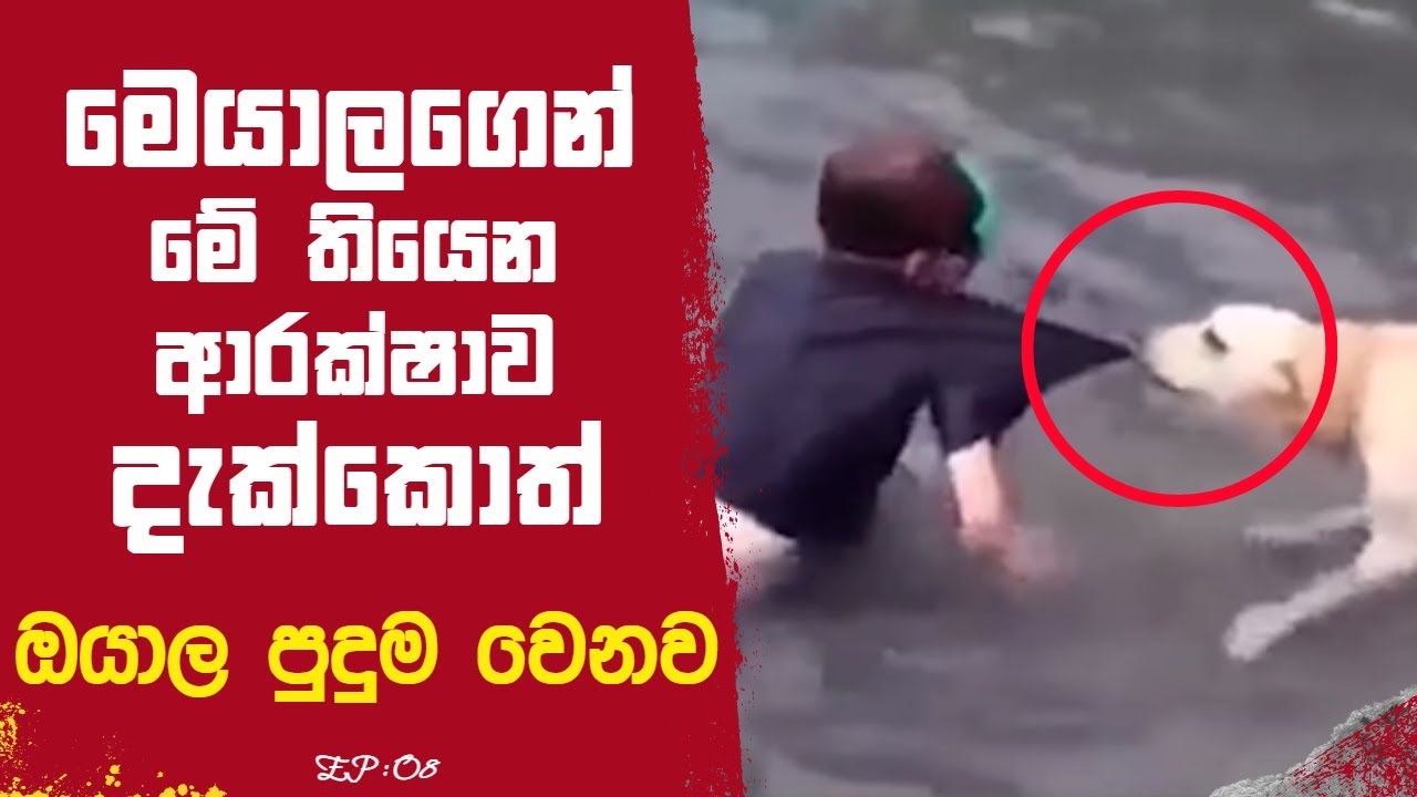 කොහොම ද මෙයාලගෙන් තියෙන ආරක්ෂාව | Puduma Tv - EP : 08 - YouTube