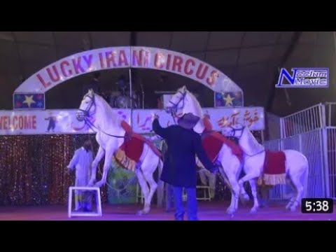 Lucky Irrani Circus Rodu Sultan - YouTube