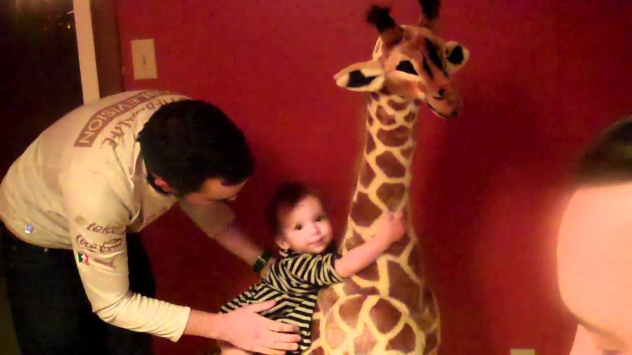 Giraffe-back Riding - YouTube