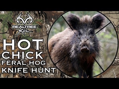 Hot Chick Feral Hog Knife Hunt - YouTube