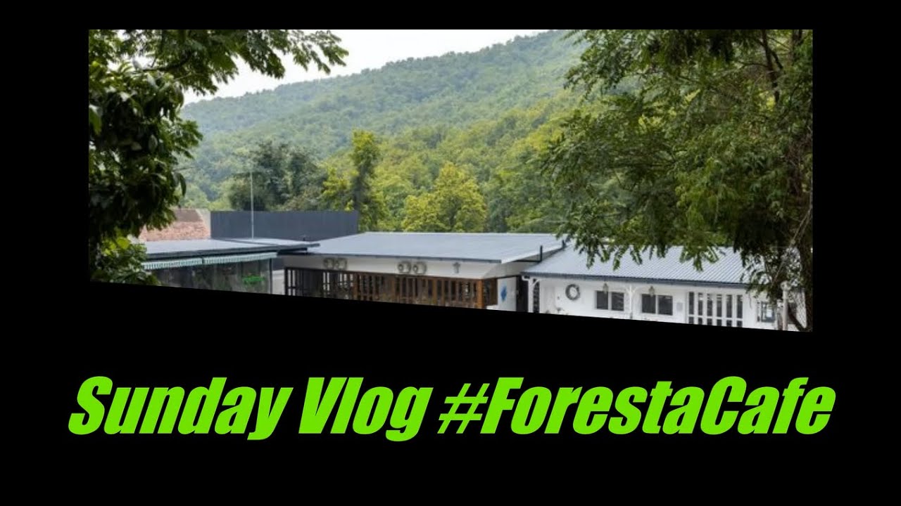 Sunday vlog# Foresta cafe Dehradun - YouTube