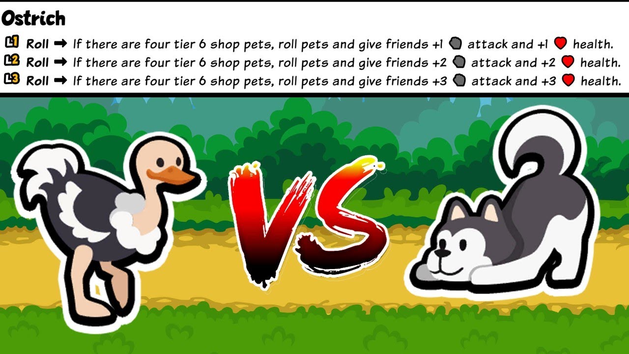 How Does the NEW Ostrich Stack Up To Husky? | Super Auto Pets - YouTube