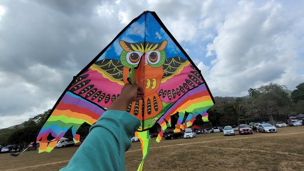 Kite Flying At Queens Park Savannah | Trinidad | Easter Sunday - YouTube