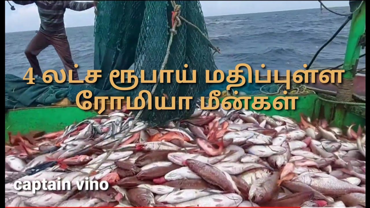 KANYAKUMARI SEA RED SNAPPER FISHING - YouTube