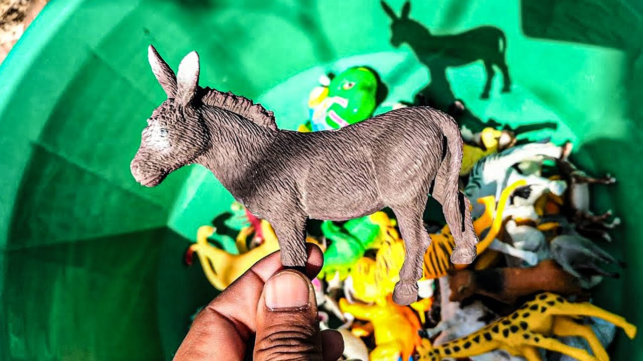 Plastic Animals Toys Unboxing Order Flipkart Donkey, Horse, T rex ...
