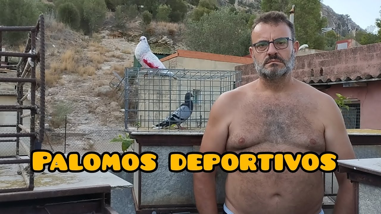 Una mañana en mi palomar .¿ Quién ha cambiado,el palomo o el palomero ...