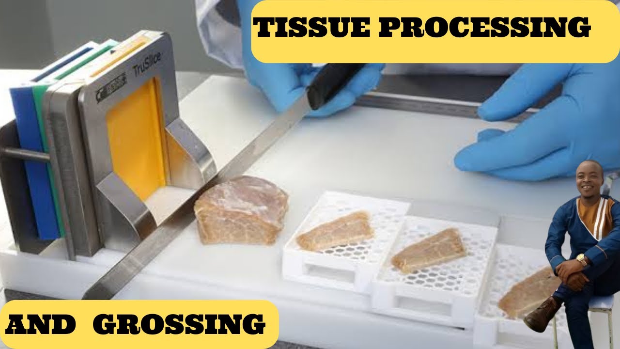Histopathology part 3: Tissue Processing | Clearing |Impregnation - YouTube