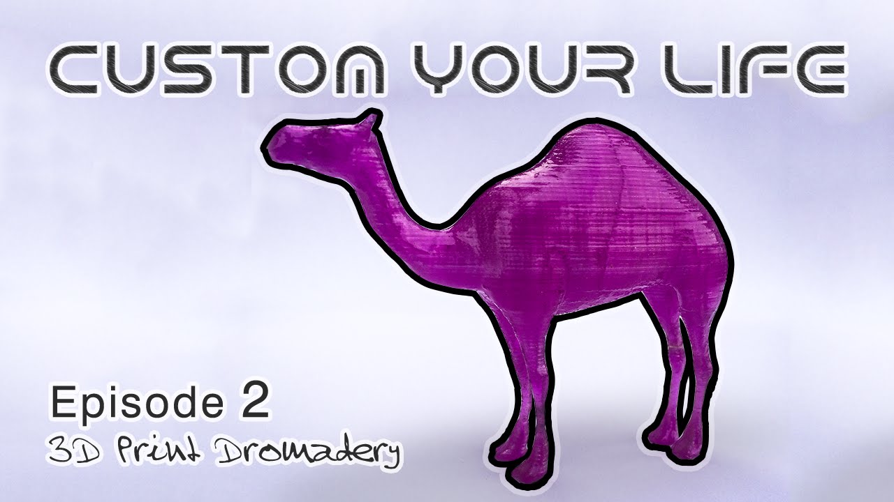 Custom Your Life #02 | 3D Print Dromadery - YouTube