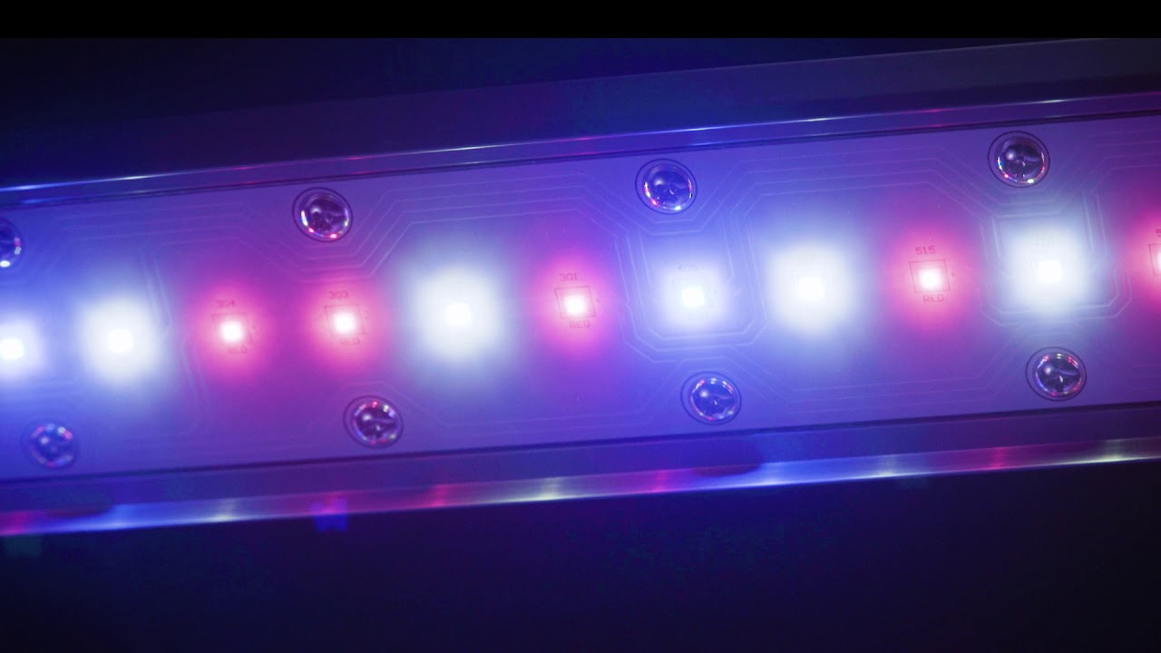 KIND LED Grow Lights X2 - YouTube