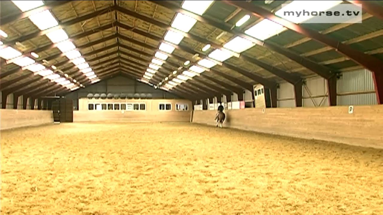 Dressage Exercise - Leg Yielding - YouTube