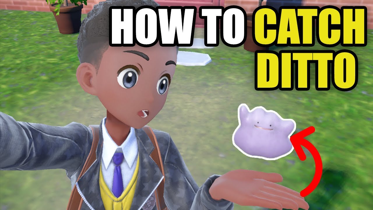 How To FIND and CATCH Ditto In Scarlet And Violet! - YouTube