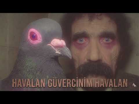 Havalan Güvercinim Havalan  |  Protest Rock