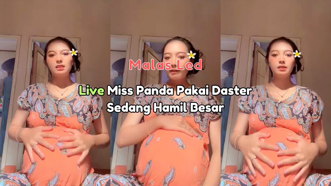 Live Miss Panda Pakai Daster Sedang Hamil Besar - YouTube