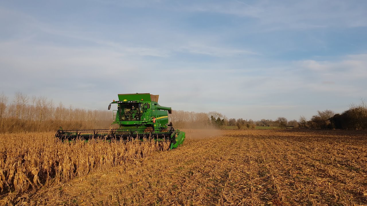 Farol Ltd | Tusmore Estate Combining Maize in their John Deere T670i ...