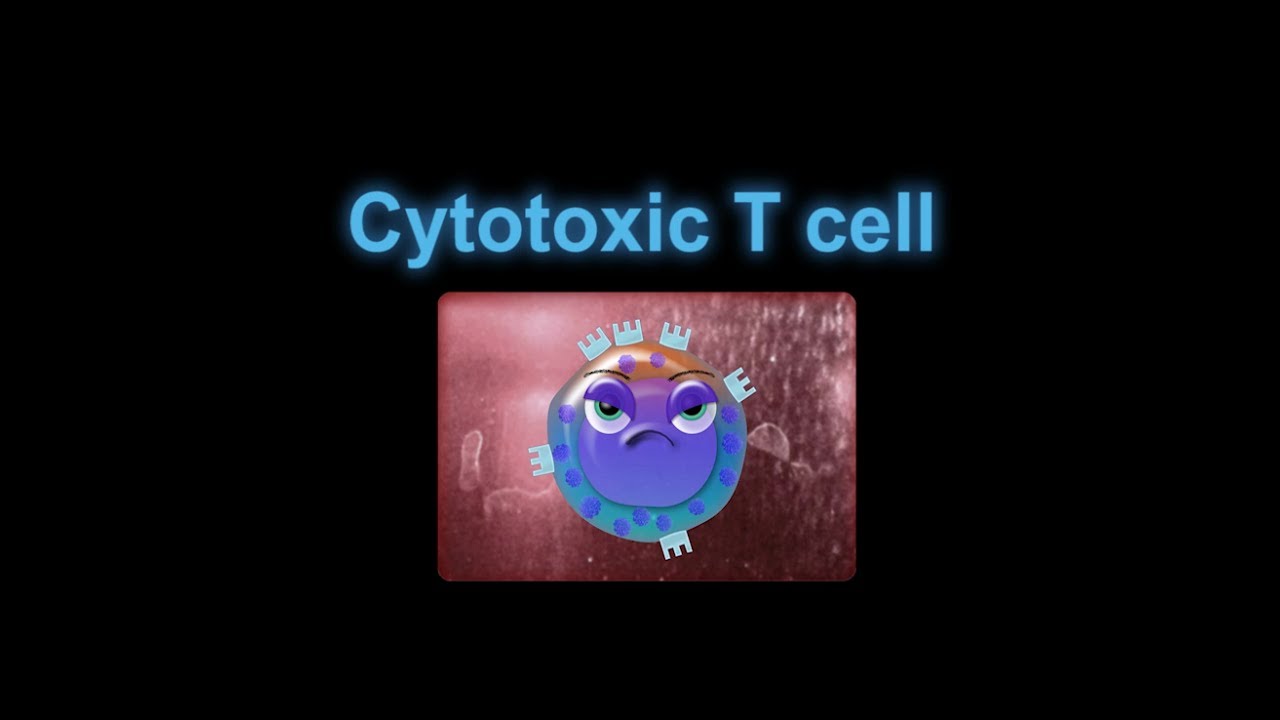 Supercytes cartoon - Cytotoxic T cell - YouTube