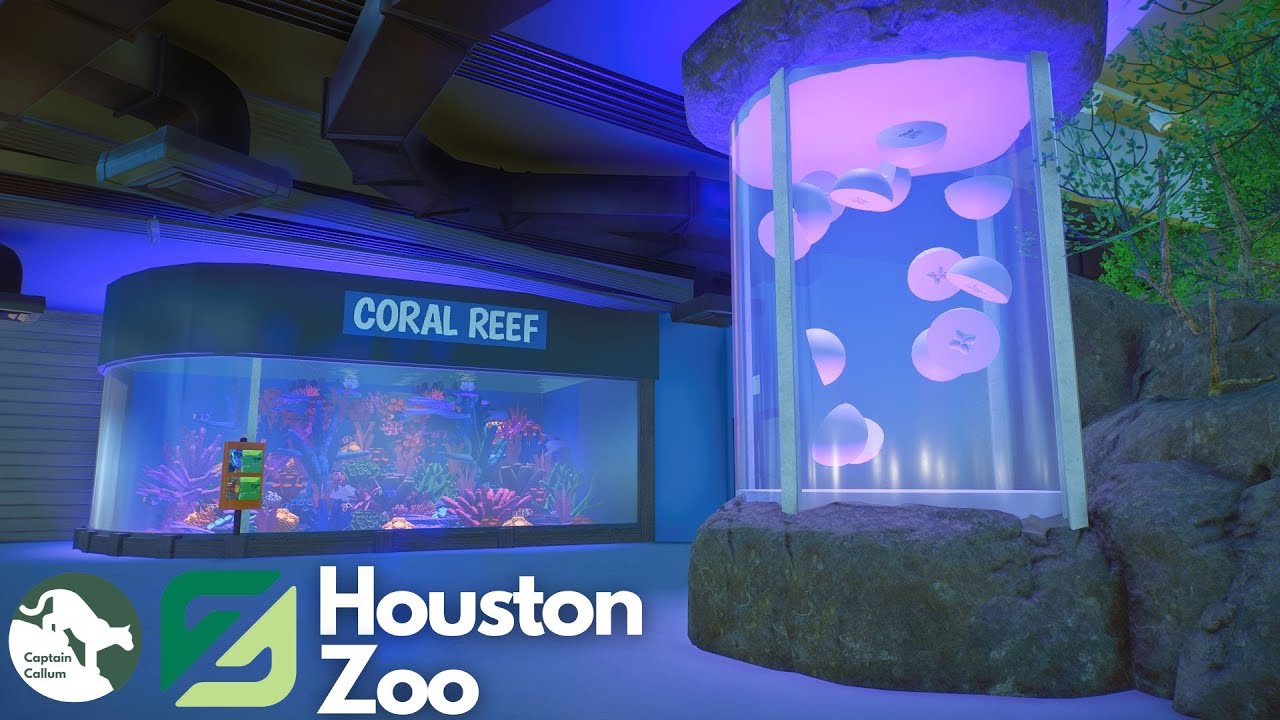 Otters, Armadillos and a bunch of fish | Houston Zoo in Planet Zoo Ep.7 ...