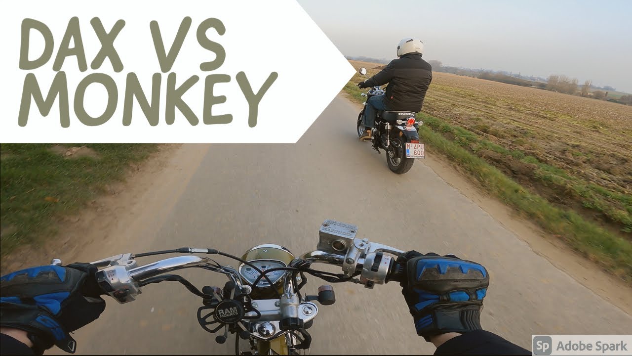 DAX 125 VS MONKEY 125 (NEW) - YouTube