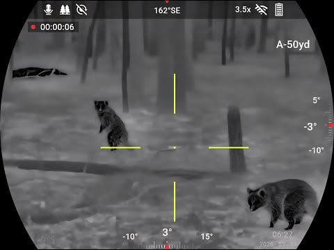 ATN ThOR 6 Mini 384 | Real Night Hog Hunt With Thermal