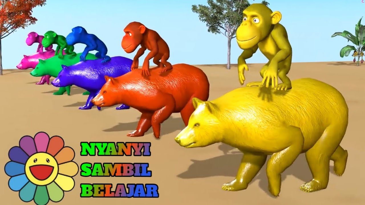 monyet naik beruang lomba lari |belajar warna warni | learn color with ...