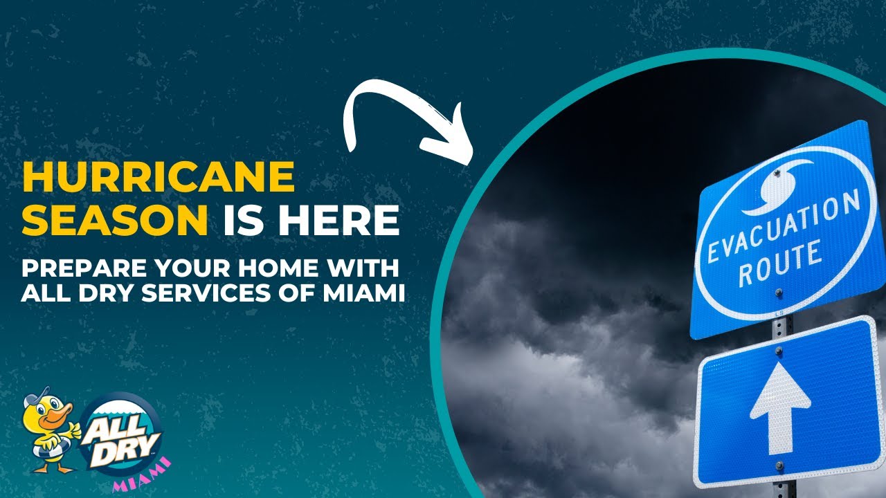 Hurricane Season is Here: Prepare Your Home with All Dry Services of ...