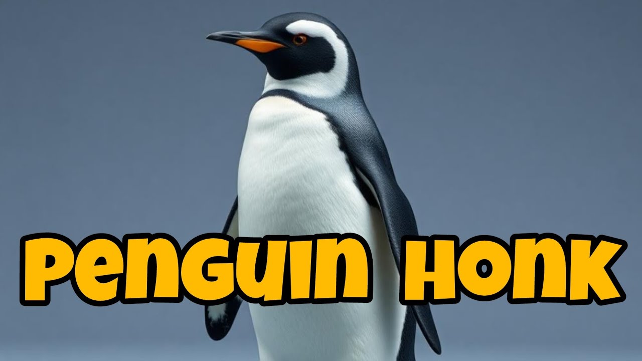 What Does a Penguin Sound Like? The Honk of a Penguin - YouTube