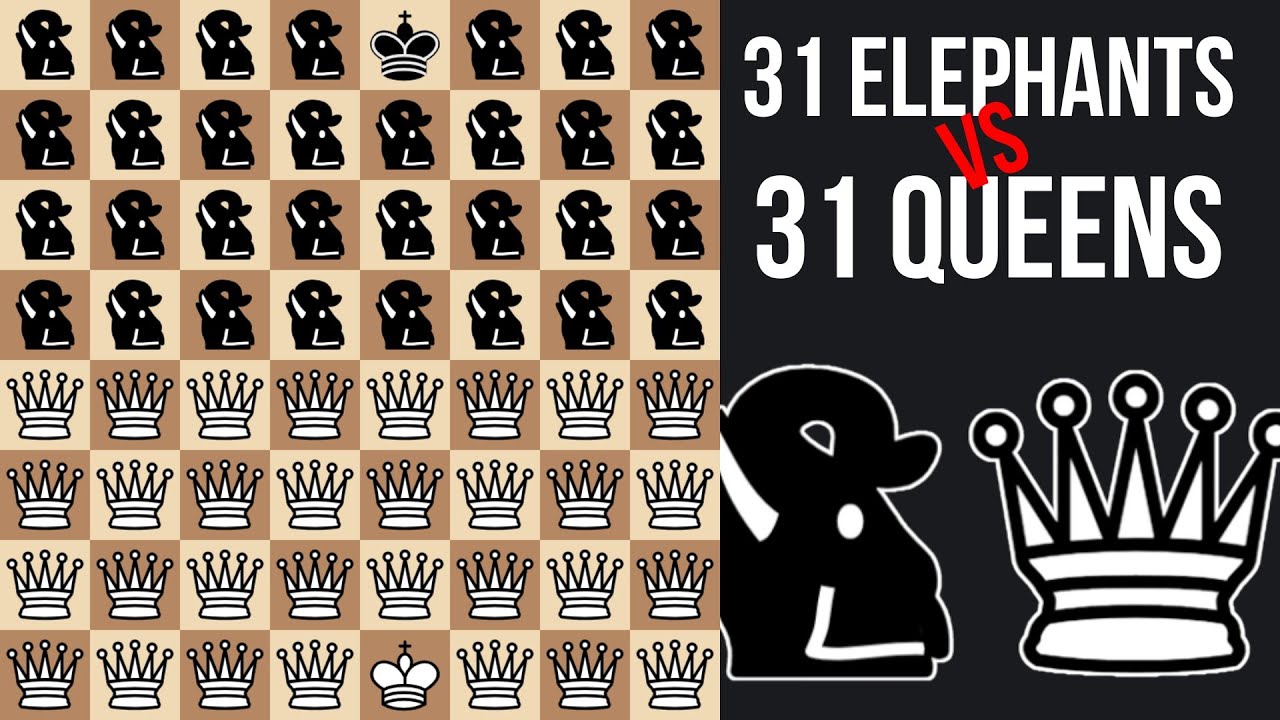31 ELEPHANTS vs. 31 QUEENS - YouTube