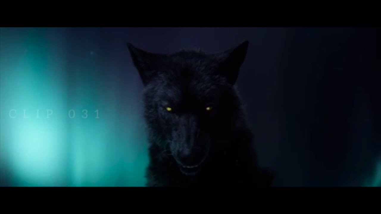 Running With the Wolves MV - YouTube
