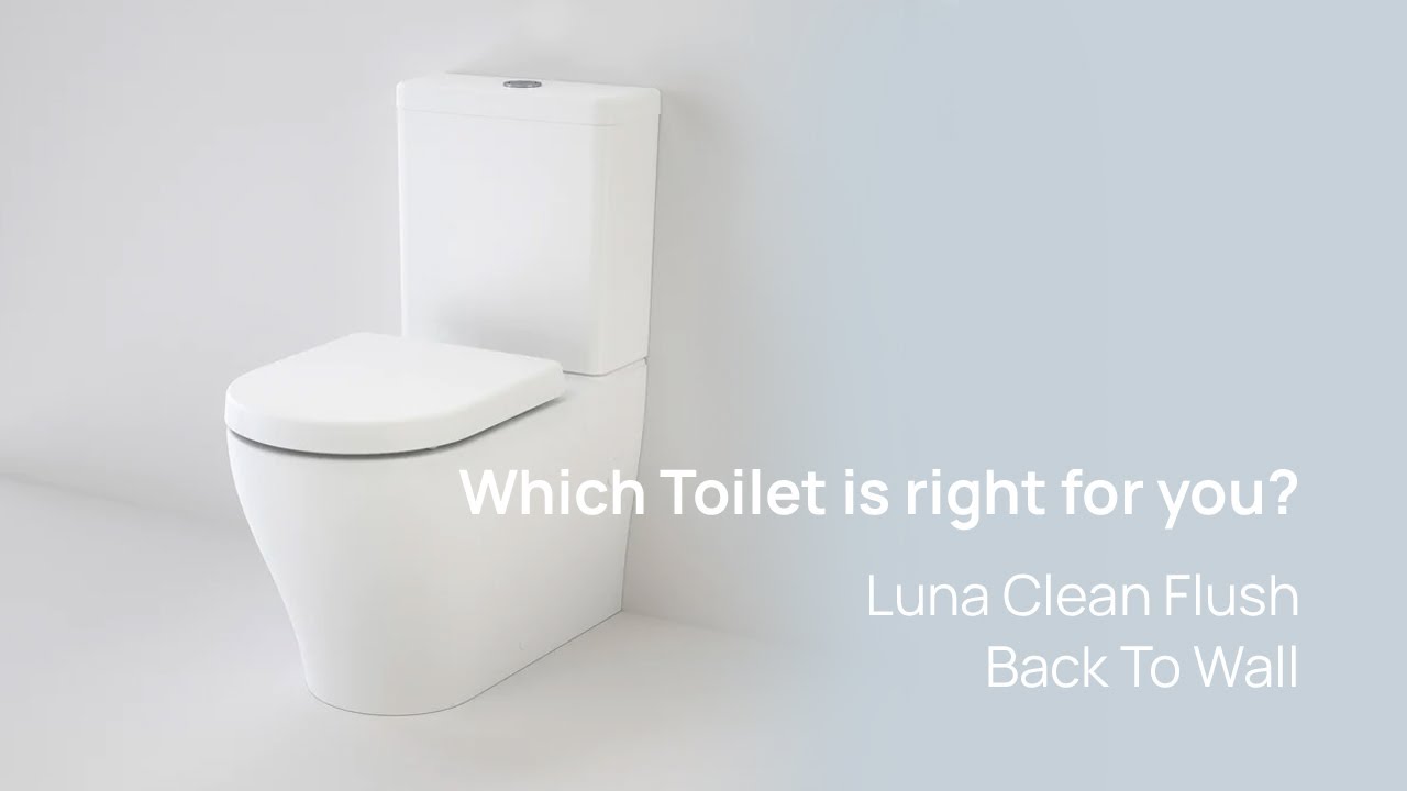 Caroma Luna Clean Flush Back to Wall Toilet | Which Toilet Is Right ...