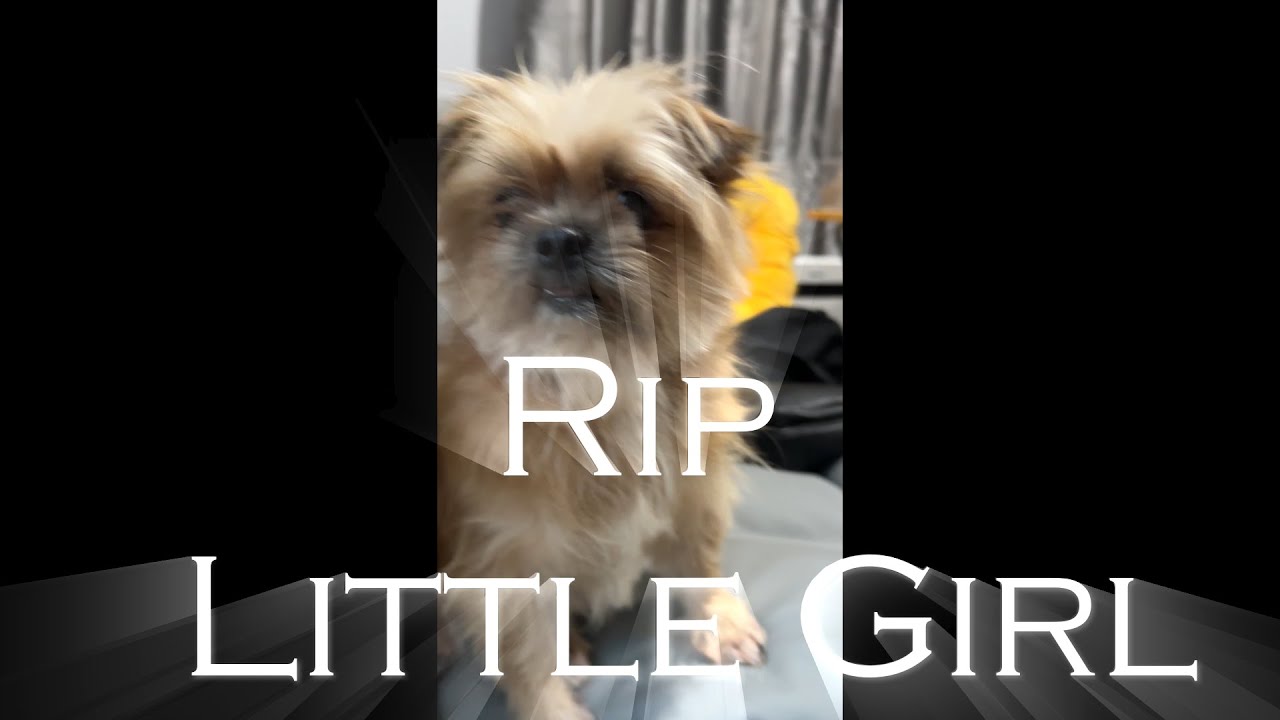 RIP TOBI LITTLE GIRL - YouTube