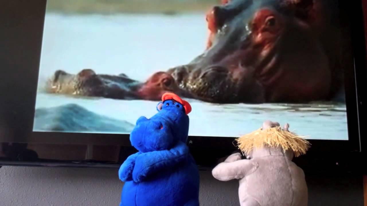 Shankopotamus In Love - Let's Get it On - Marvin Gaye - YouTube