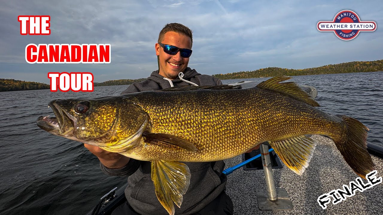 I Caught the BIGGEST WALLEYES I've EVER SEEN! (32"+) | The Canadian ...
