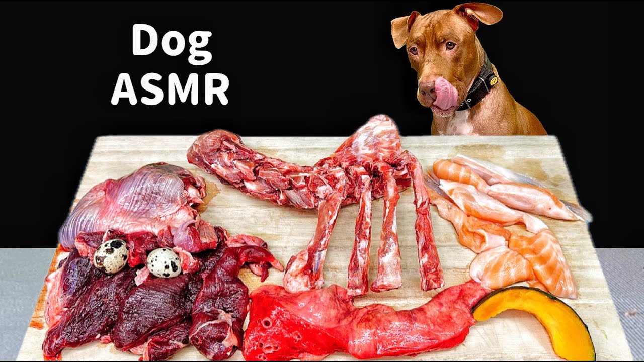 Best ASMR PITBULL EATING RAW FOODS - YouTube