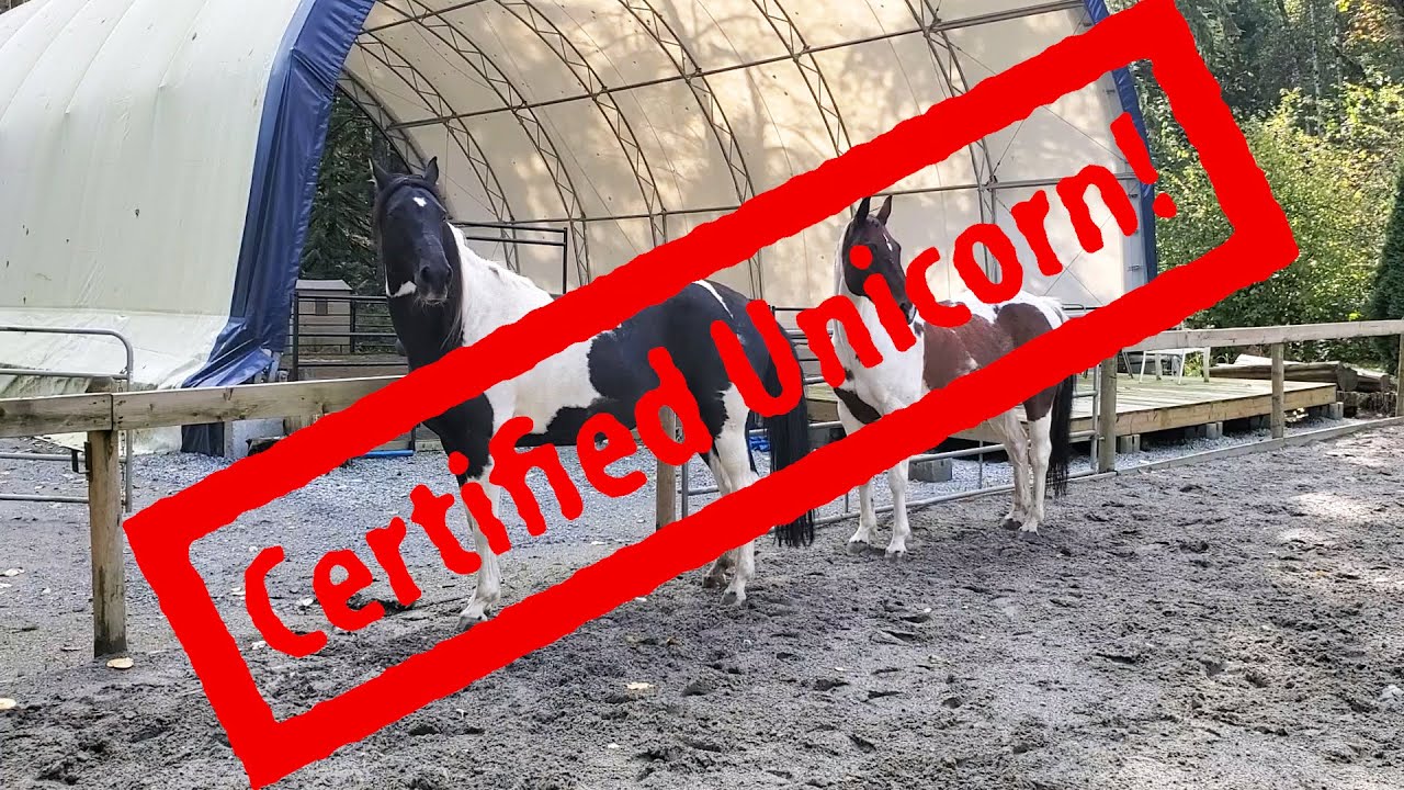 Certified Unicorn! - YouTube
