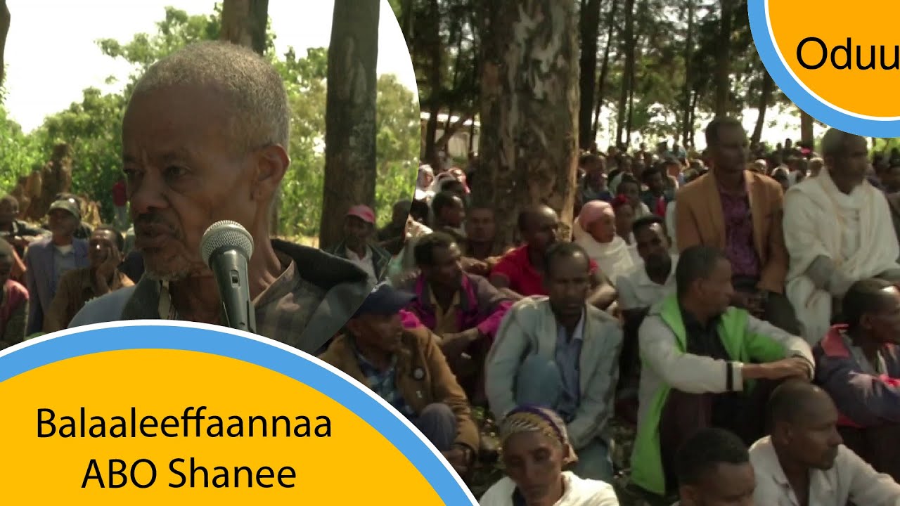 Balaaleeffaannaa ABO Shanee - YouTube