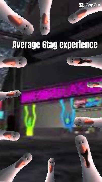 Average Gtag experience#meta #gorillatag #funny #memes - YouTube