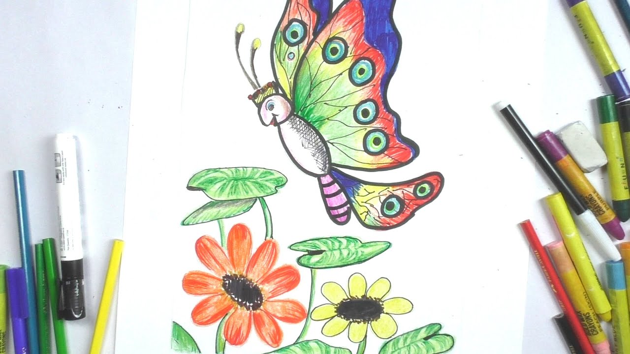 CARTOON BUTTERFLY: How to Draw a Cartoon Butterfly Easy Step by Step ...