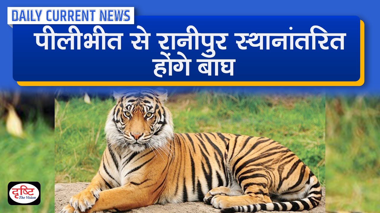 Translocation Of Sugarcane Tigers : Daily Current News | Drishti IAS ...