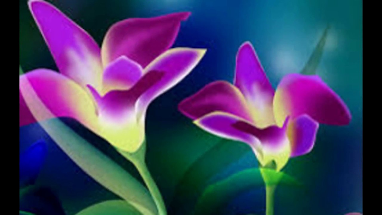 Flower slideshow - YouTube