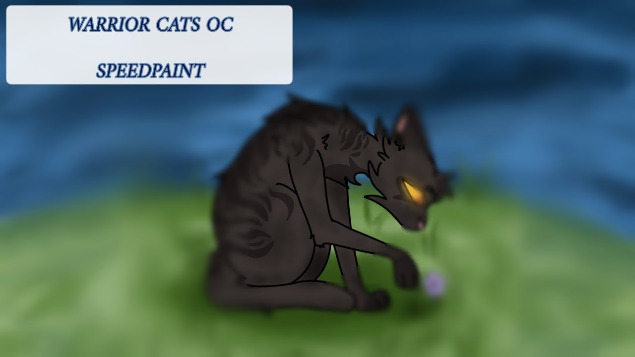 Warrior Cats OC speedpaint!! - YouTube