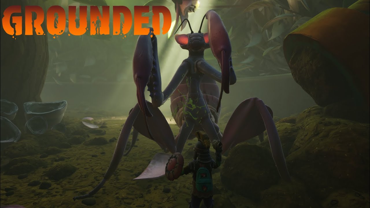 Grounded | Orchid Mantis - YouTube