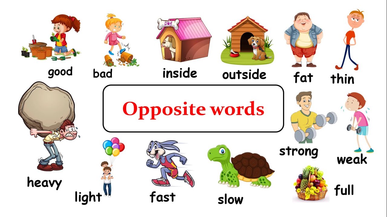 Opposite words vocabulary in English. - YouTube