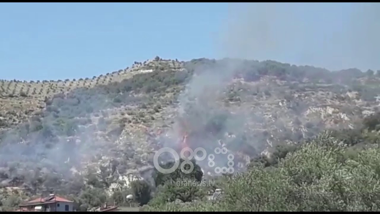 RTV Ora – Zjarr në një pyll në fshatin Vreshtas të Fierit, rrezikohet ...