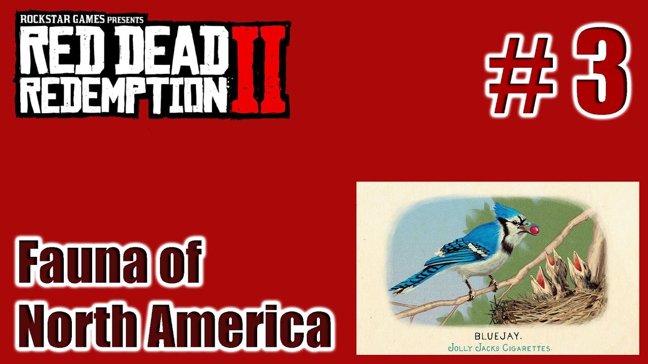 RDR2 - Fauna of North America – 03 Blue Jay - Cigarette Card – Türkçe ...