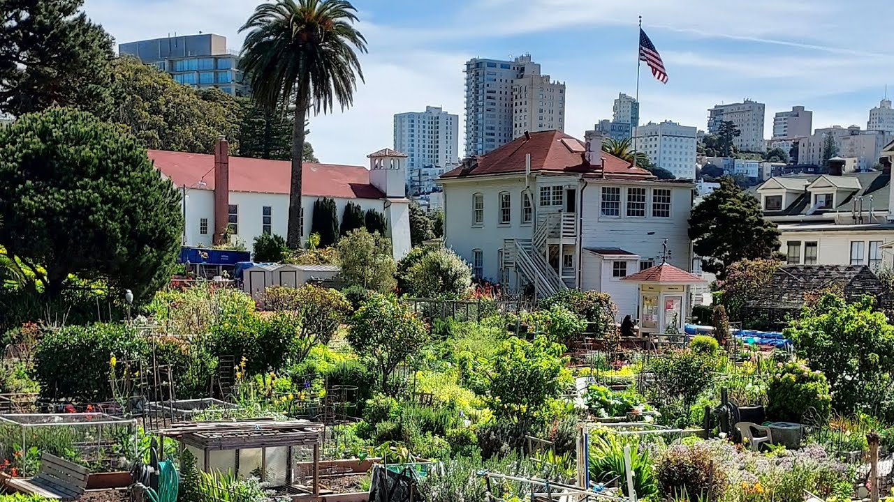 Let's urban trek together and experience San Francisco better than what ...